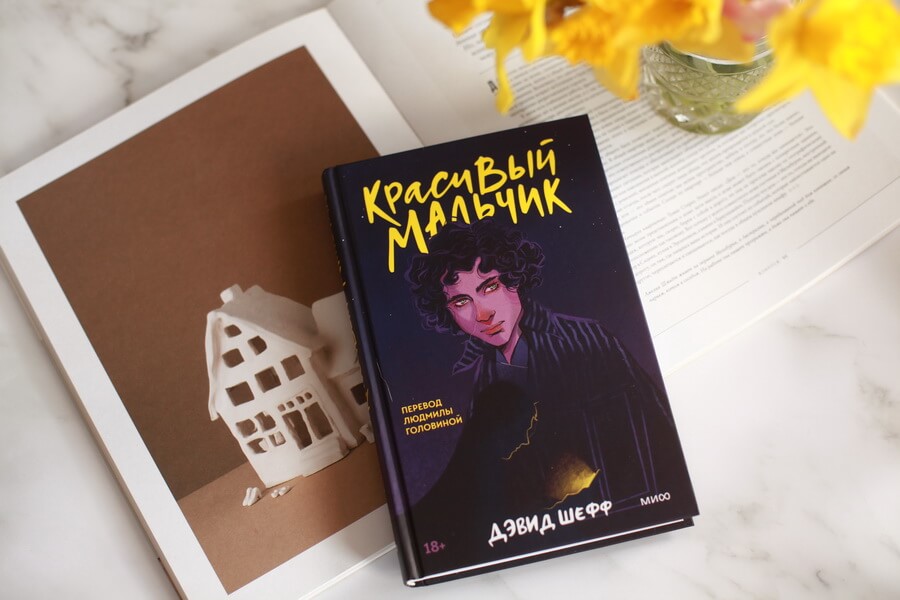Красивый мальчик (Дэвид Шефф, Людмила Головина) — купить в МИФе